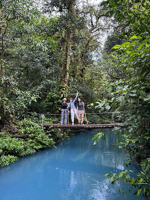 Cherry Chen - Travel Excellence